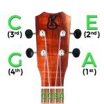 Image result for One String Bass Uke Tuning