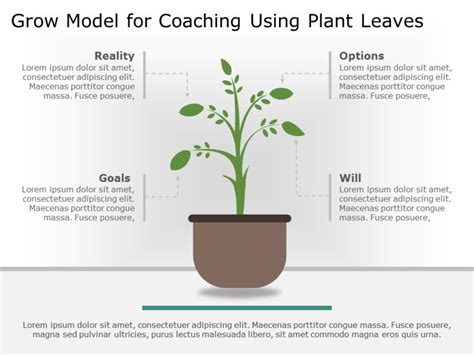 Image result for Editable Grow Model