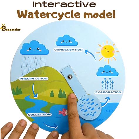 Image result for Water Cycle Model