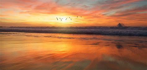 Image result for Calm Timer