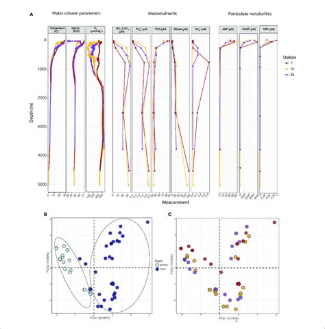 Image result for Water Column Range Chart