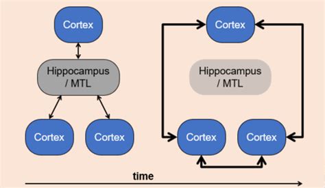 Image result for Brain Memory System