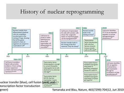 Image result for Nuclear Reprogramming