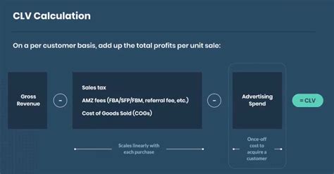 Image result for Calculating CLV