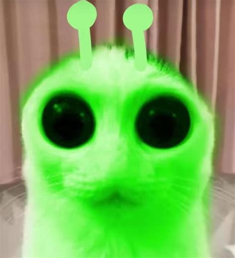 Image result for Alien Cat Meme Origin