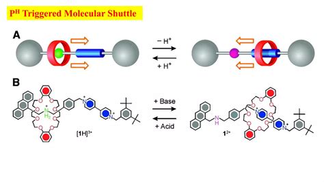 Image result for Molecular Machine