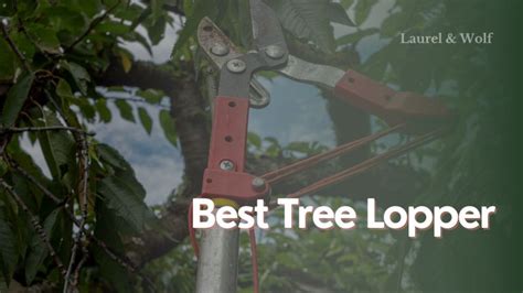 Image result for Tree Lopper Lift