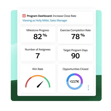 Image result for Salesforce Program