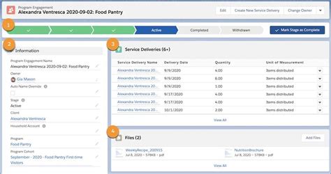 Image result for Salesforce Program Management Module