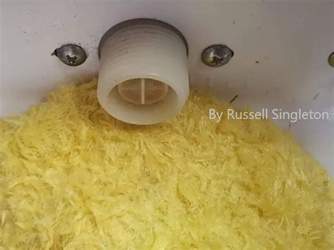 Image result for Washing Machine Water Filter Outside