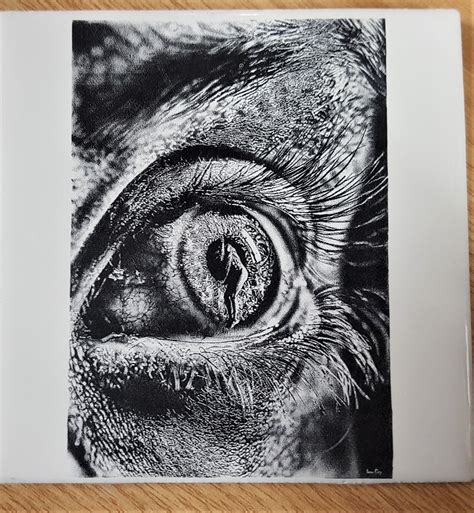 Image result for Norton White Tile Method Test Pattern