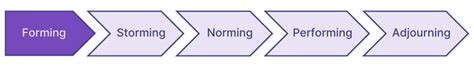 Image result for Tuckman Team Forming Model