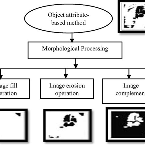 Image result for Morphological Synthesis Example