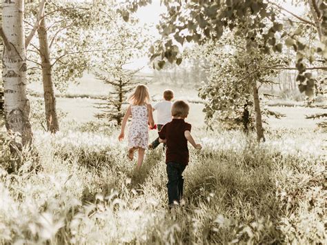 Image result for Mimo Store