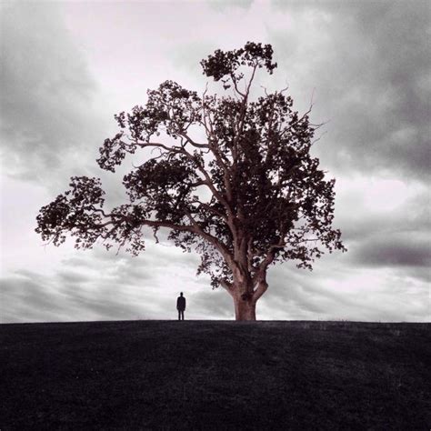 8 Ways To Create A Stronger Focal Point In Your iPhone Photos