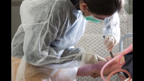 Image result for Watch a Human Embalming