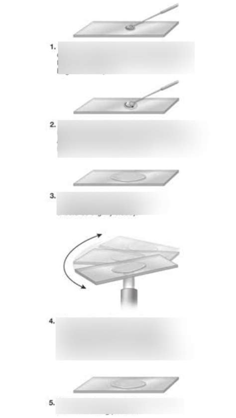 Image result for Smear Speed Tutorials