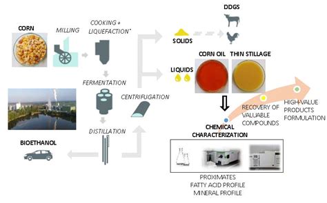 Image result for Corn-Based Bioethanol