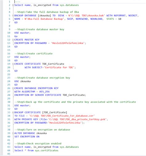Image result for Encrypt the Password or Mask SQL