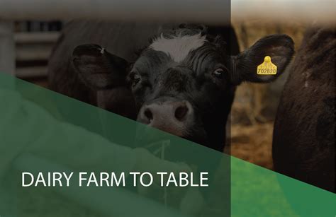 Image result for Proactive Solution System