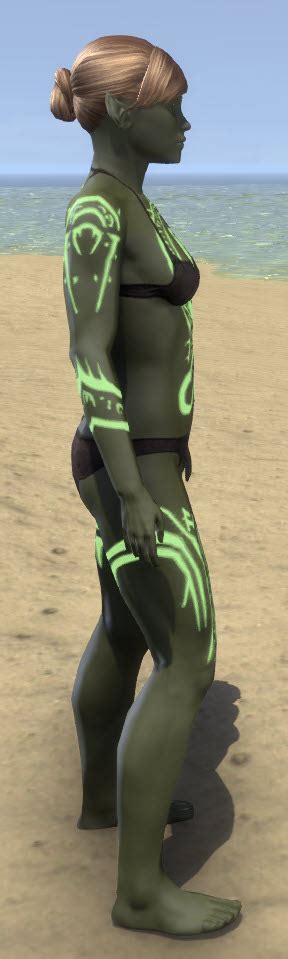 Image result for Taskmaster in ESO