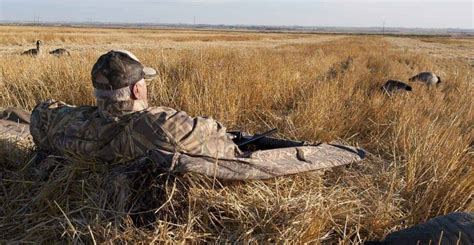 Image result for Goose Hunting Setups
