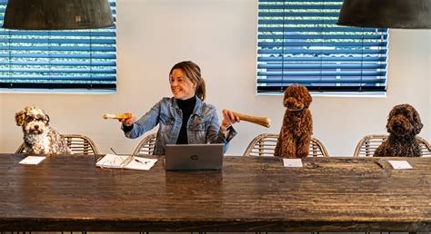 Image result for Reflectie Methode