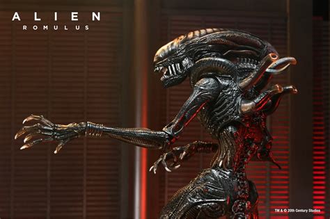 Image result for Alien Xenomorph Stop Motion