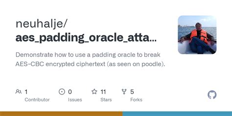 Image result for Padding Oracle Attack
