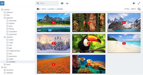 Image result for Where Is Video URL