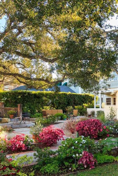 Image result for Shade Loving Perennials