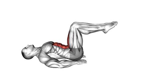 Image result for Toe Up Exercise