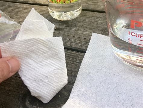 Image result for The Exploding Bag