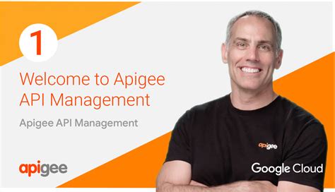 Image result for Apigee API Hub