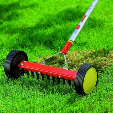 Image result for Dethatching Rake