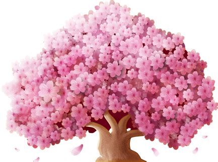 Image result for Cherry Tree Rust