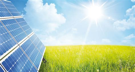 Image result for Renewable resource Examples