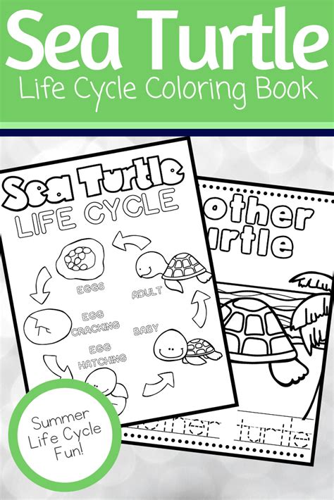 Image result for Turtle Life Cycle Coloring Sheets