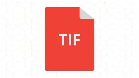 Image result for Why TIF File Have _Tf File