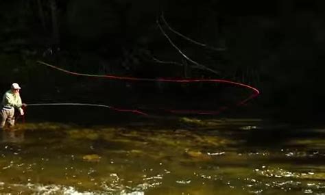 Image result for Basic Fly Cast