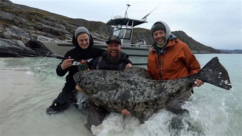 Image result for Vision Fly Fishing Net