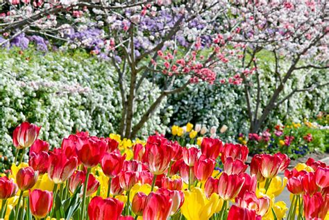 Image result for Springing