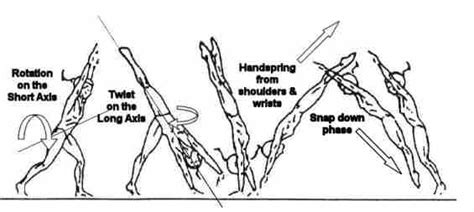 Image result for Round Off Back Handspring Example