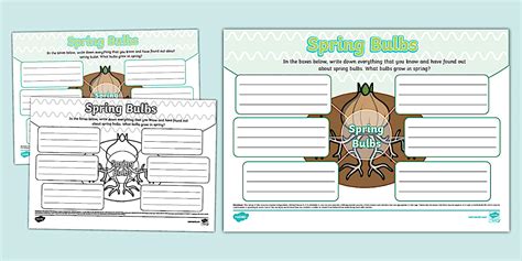 Image result for Spring Mind Map