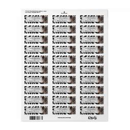 Image result for Zebra Return Address Labels