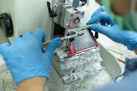 Image result for Pathological Waste Box