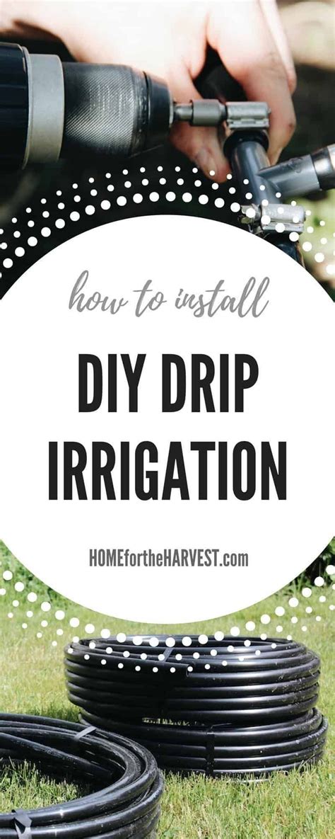 Image result for How to Install Drip Line Irrigation