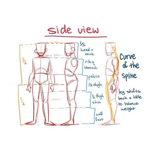 CrankyArtist - How to draw side view of a human #sideview...