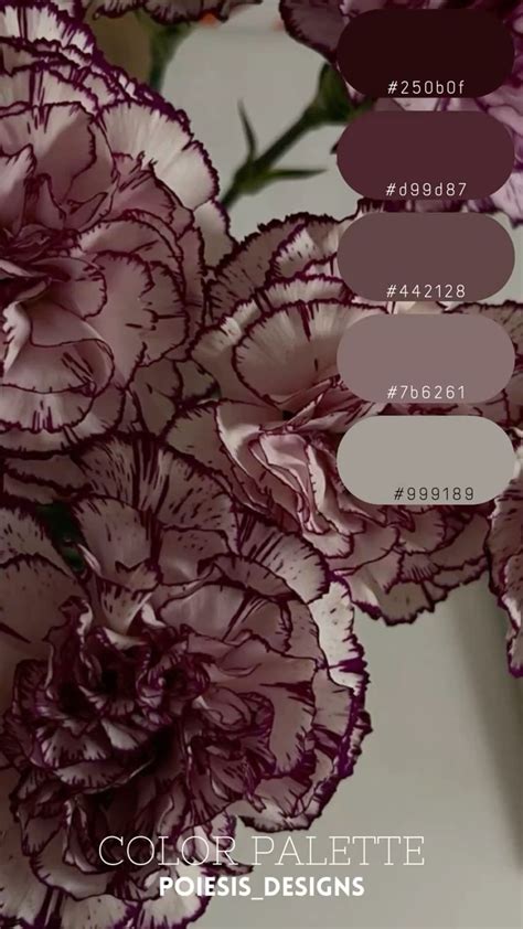 Image result for Purple Color Complement