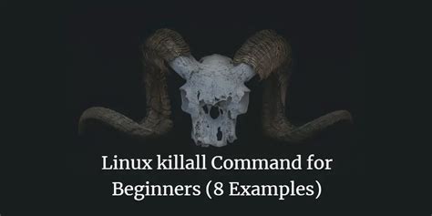 Image result for Linux Killall Command